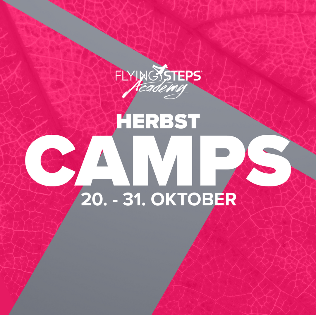 Flying Steps Academy Steglitz - das Schloss